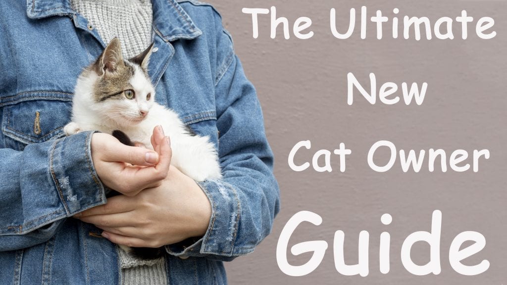 The Ultimate 2021 New Cat Owner Guide From (A To Z) | ProudCatOwners